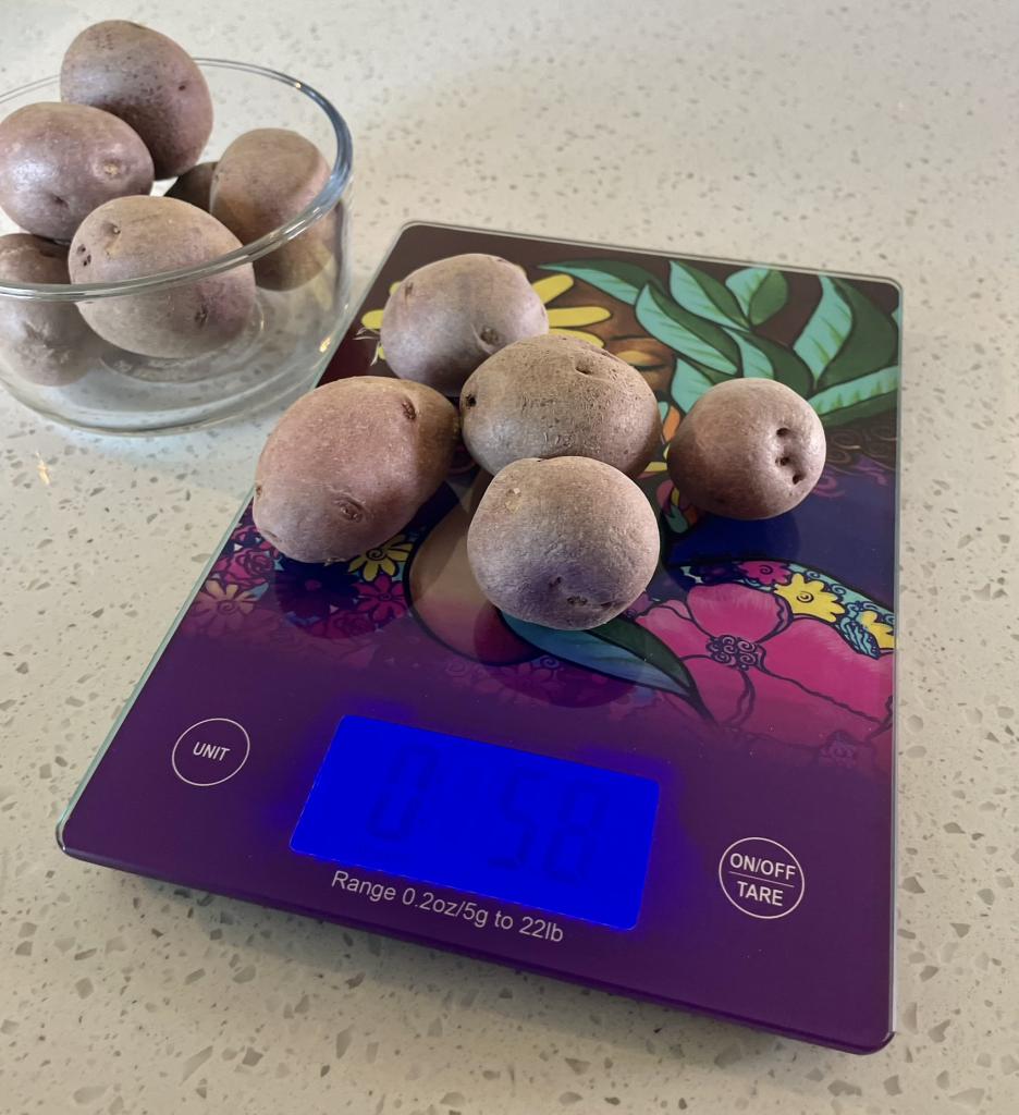 Garden Spirit Kitchen Scale - Shades of Color