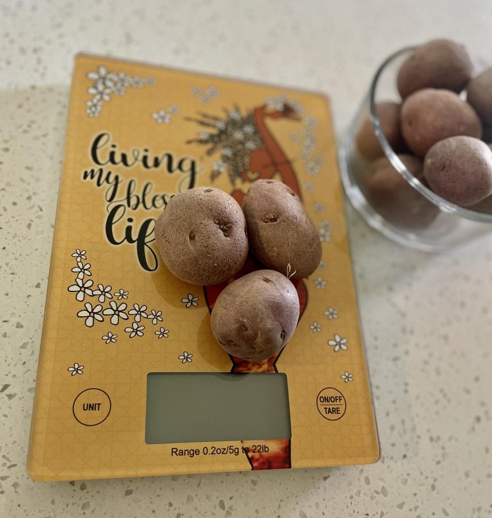 Living My Blessed Life Kitchen Scale - Shades of Color