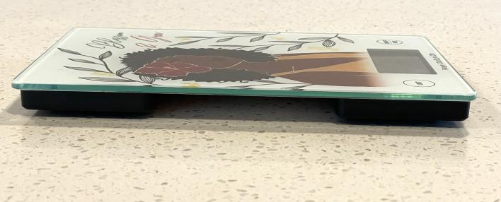 Blossom & Grow Kitchen Scale - Shades of Color